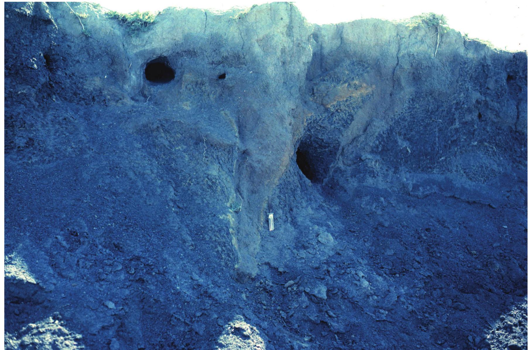 Fossil ice wedge, laramie basin, wyoming, 1983. this photo