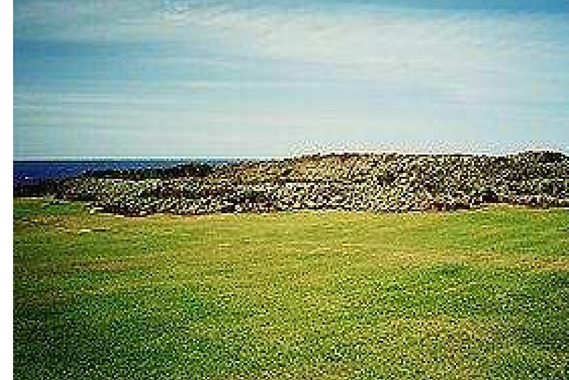 Eastern polynesia, the ultimate differences in social and