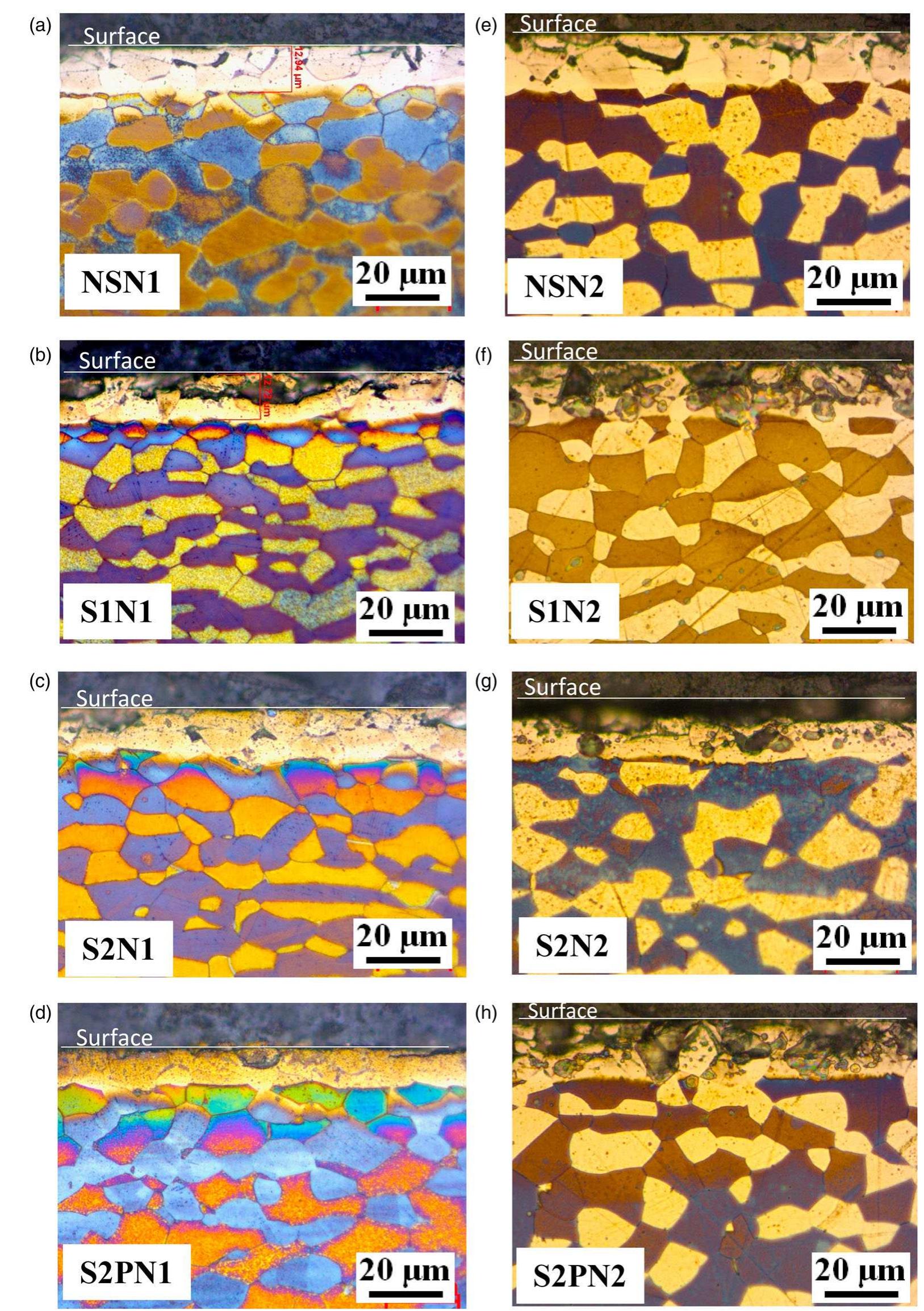 Optical micrographs of the cross-section of the nitrided
