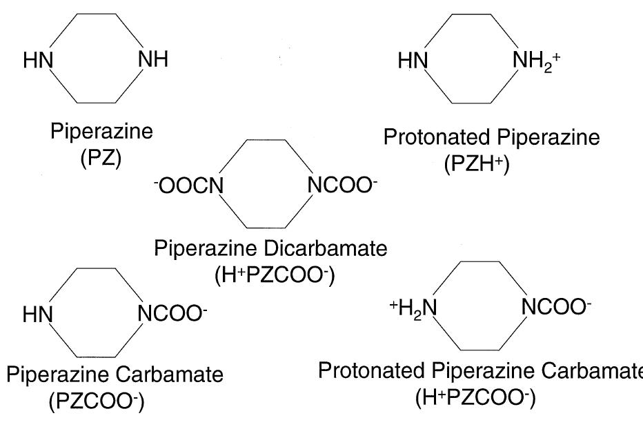 Molecular structures of piperazine species. table 1 presents