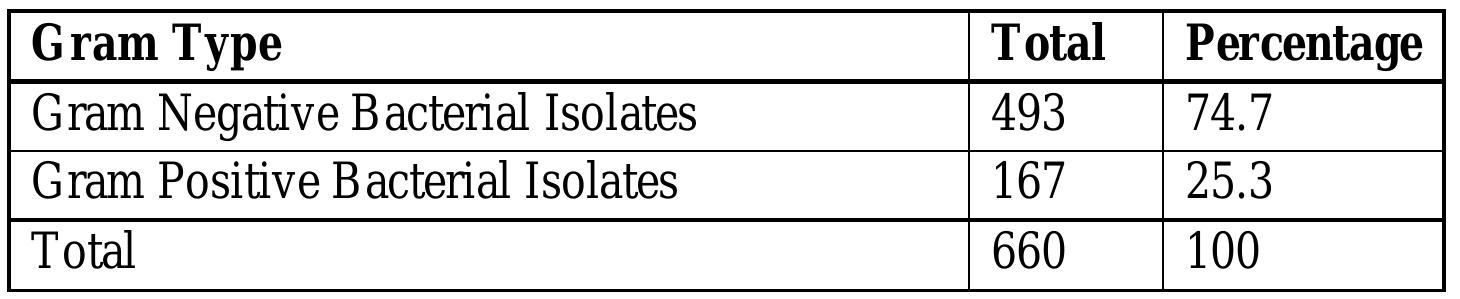 All gram positive versus gram negative bacterial isolates