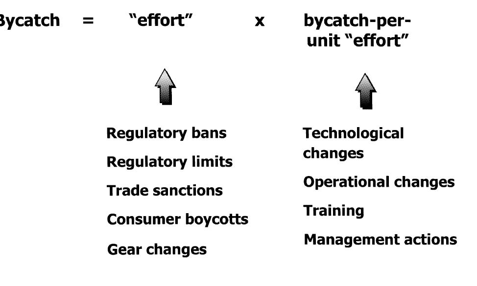 Basic by-catch equation (‘two lever system’) and ways to