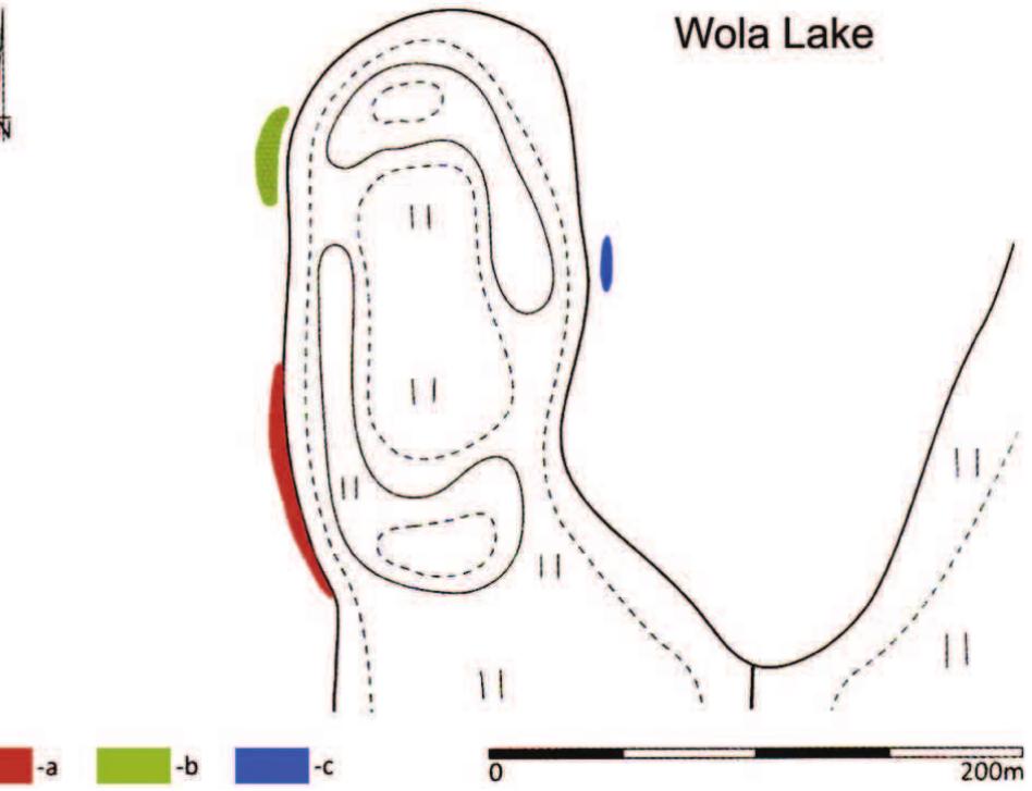 Izdebno, site 5. location of timber structures revealed