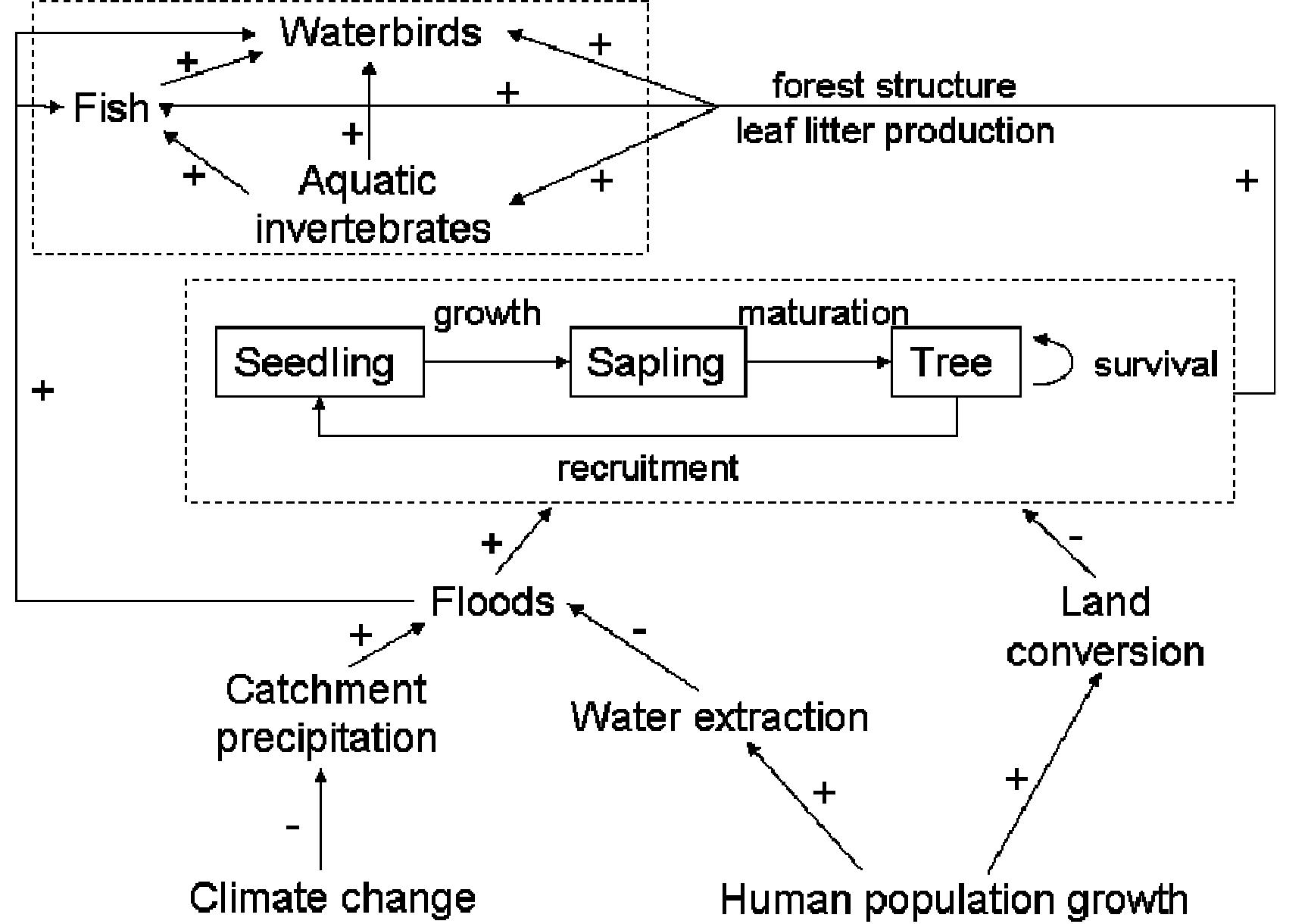 A7.2. cause-effect model of ecosystem dynamics for gonakier