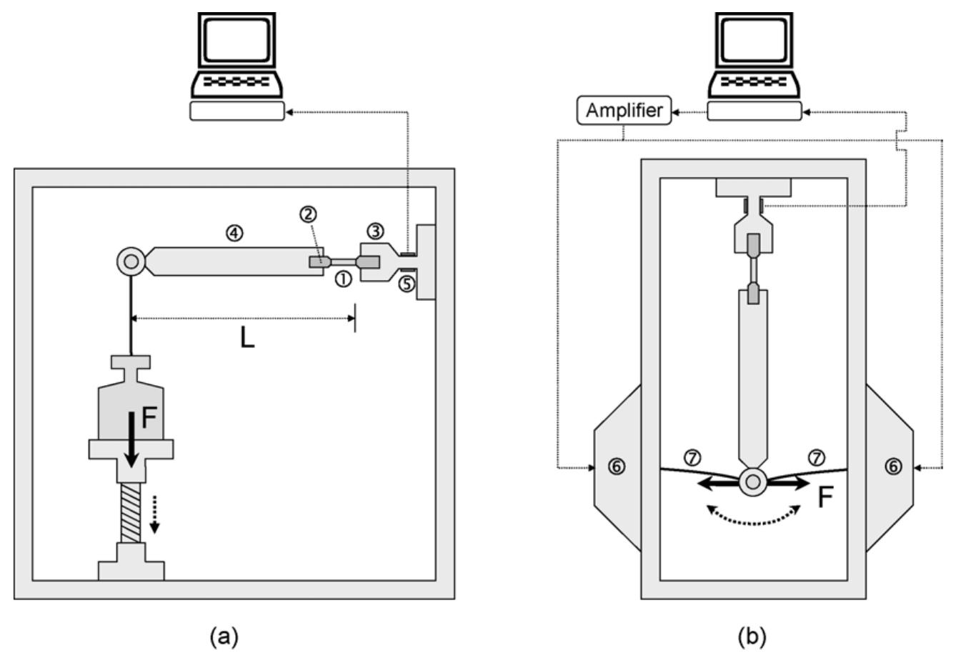 - schematic drawing of the mechanical testing device used in
