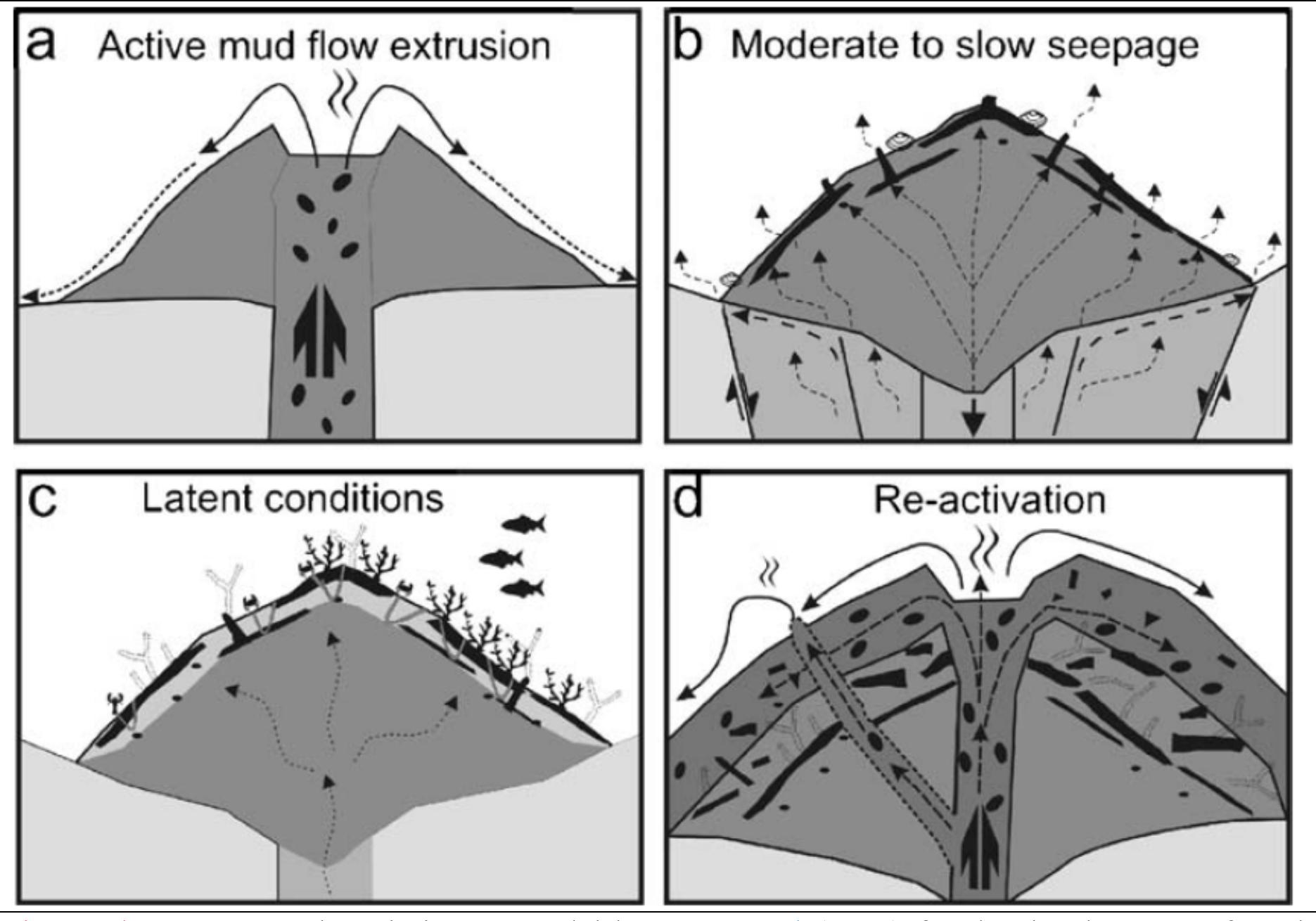 Figure 74 - Origin and types of silica in the Lower Eocene
