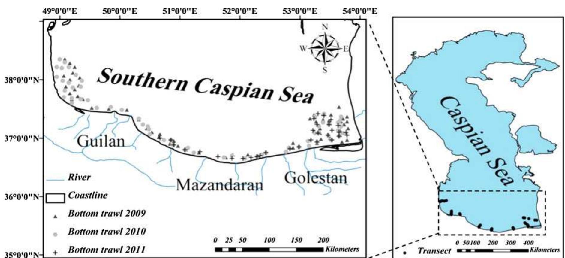 Map showing study area of iranian coast in the southern part