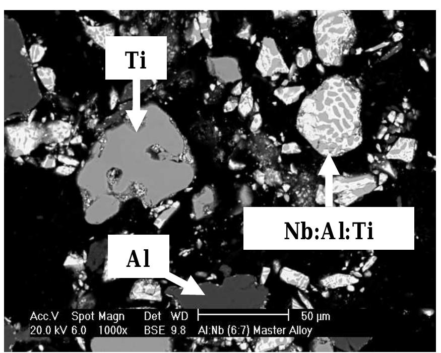 Sem micrograph (bse mode) showing the morphology of the