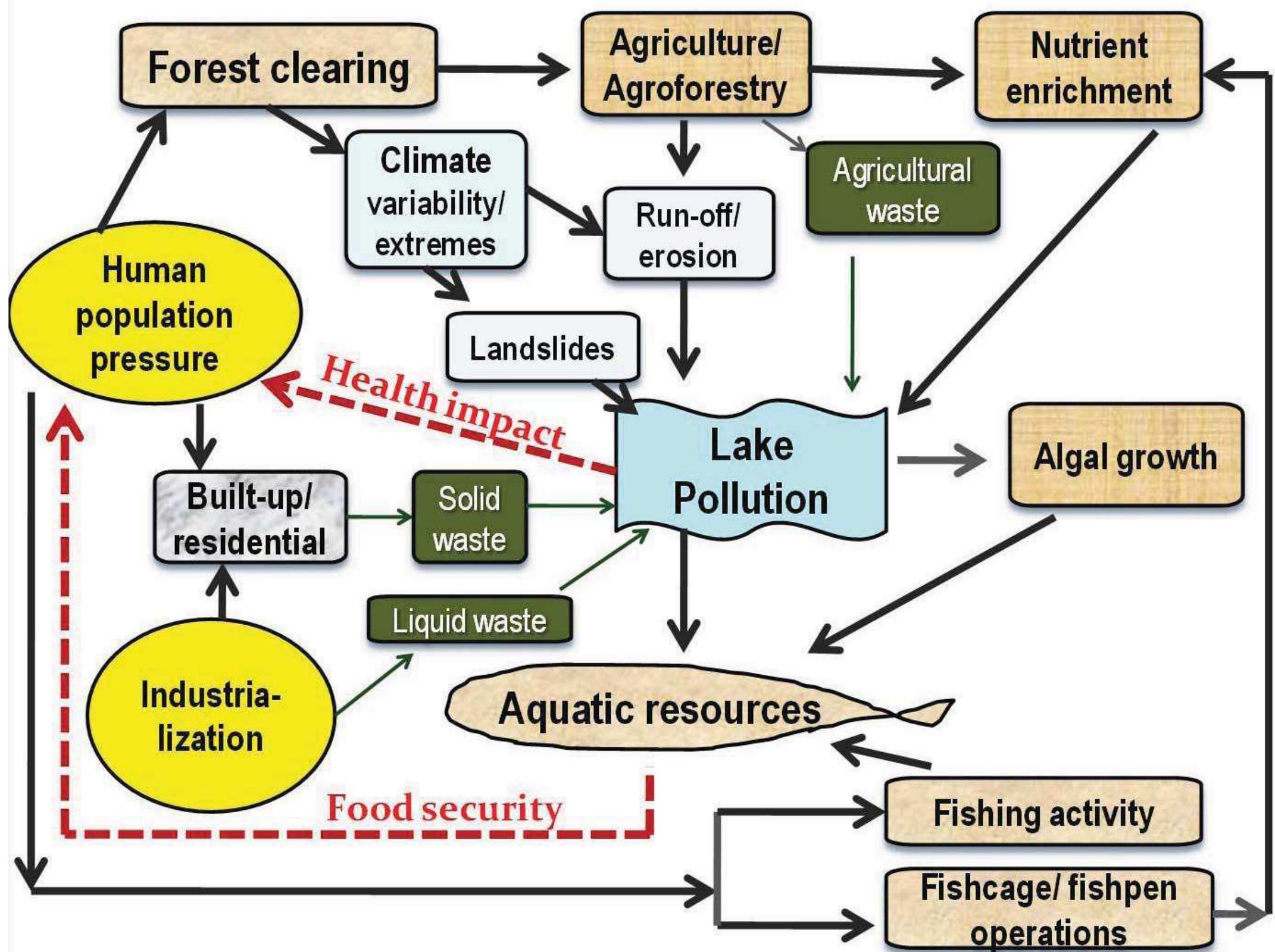 The main environmental problems identified by the