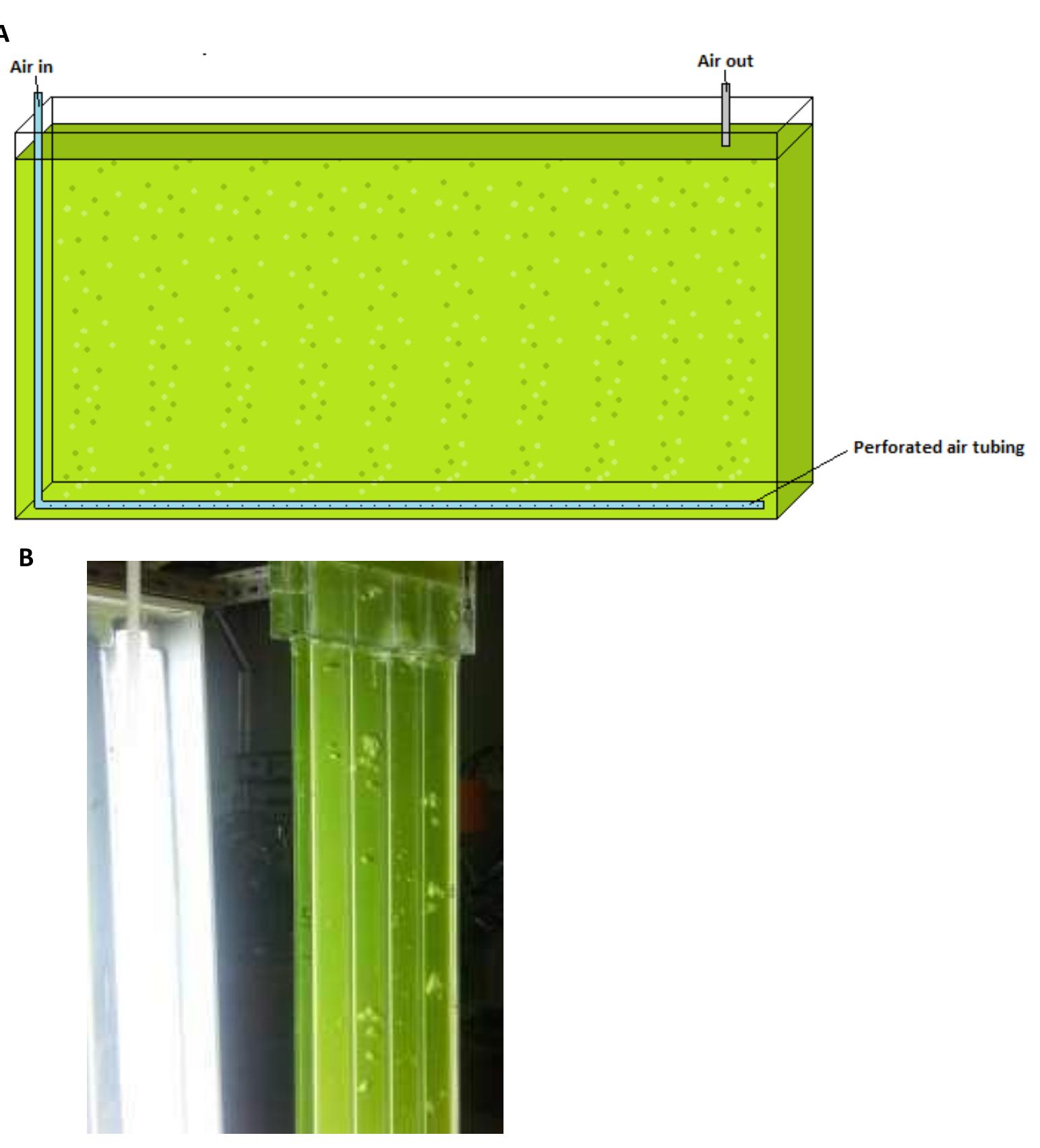 Schematic diagram of a flat-plate photobioreactor.