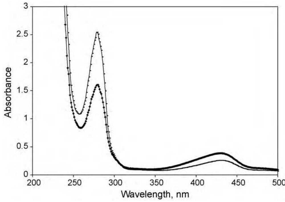 Typical uv-vis spectra of conjugation reaction of catechin