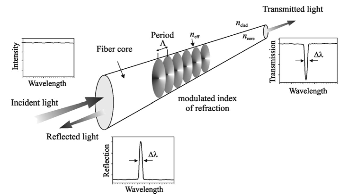 1. schematic representation of a bragg grating inscribed 1. schematic representation of a bragg grating inscribed