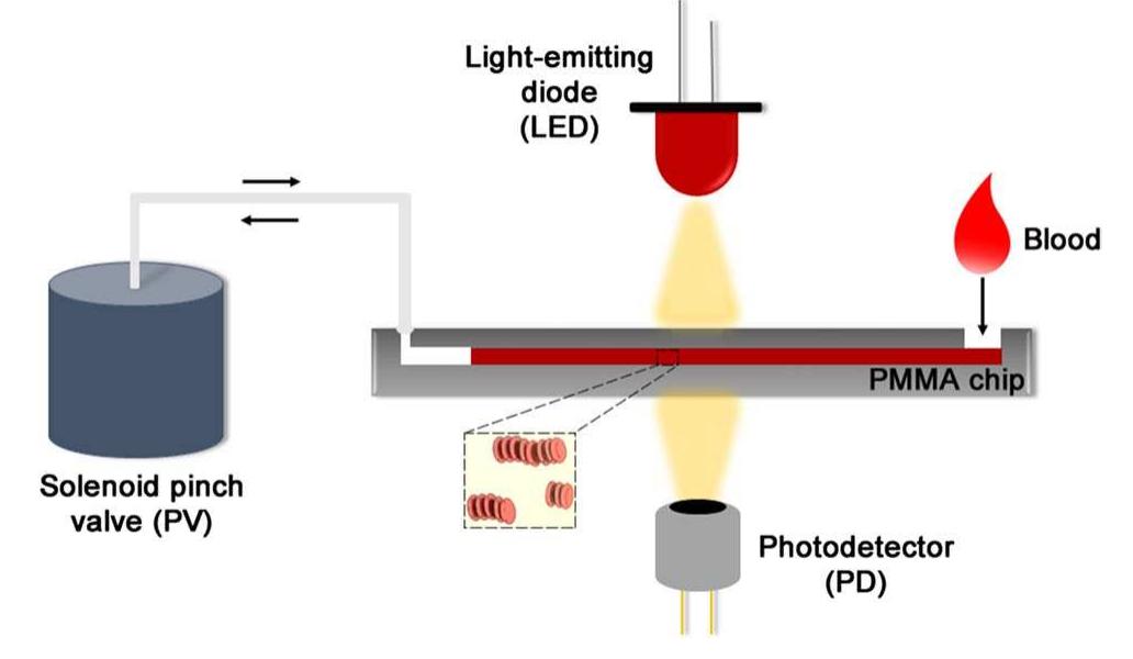 Schematic representation of the microfluidic system used for