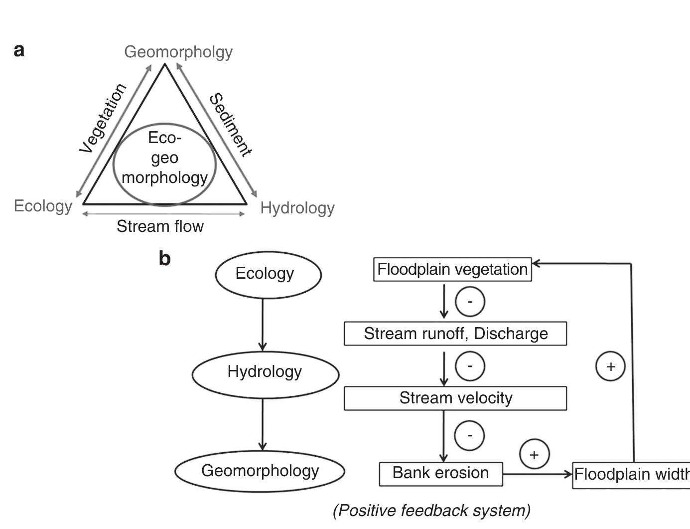 6 an eco-geomorphological framework for river systems. (a)
