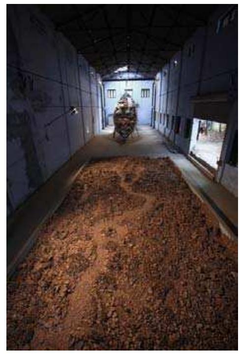 Installations by subodh gupta and vivan sundaram: kochi