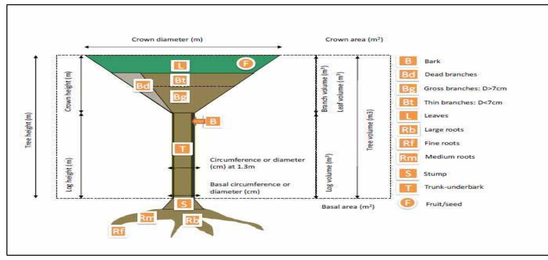 Sources were thoroughly checked and carefully converted to