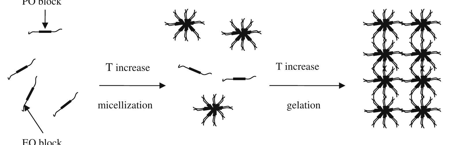 (PDF) A Review of Poloxamer 407 Pharmaceutical and Pharmacological ...