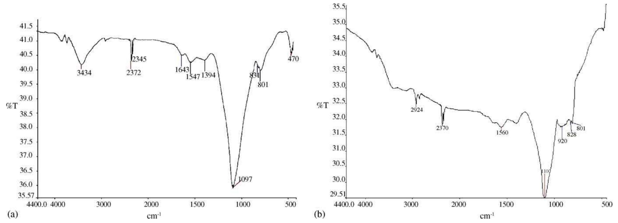 Ftir spectra of catalyzed sic ashes with: (a) fecl2-4h2o,