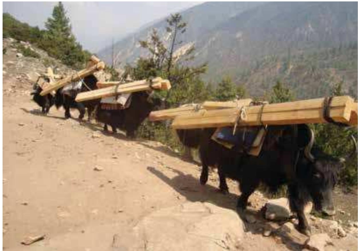 Hunters from different parts of india and nepal often come