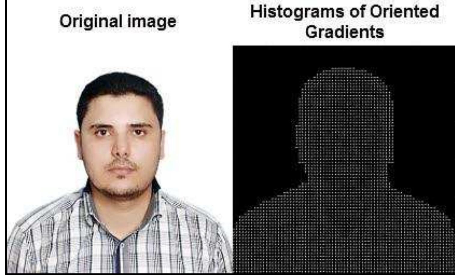 4. example of histogram of oriented gradients without using