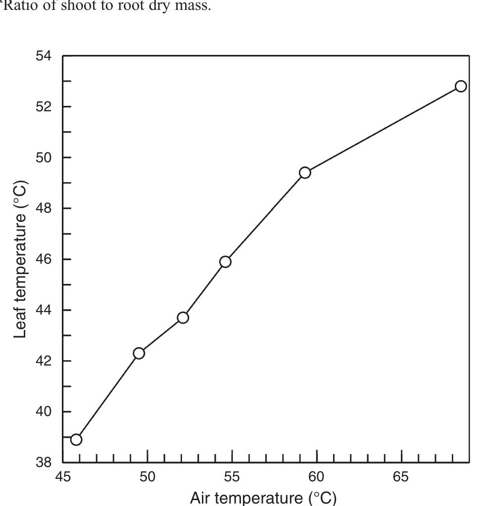 Leaf temperature as a function of air temperature during 15