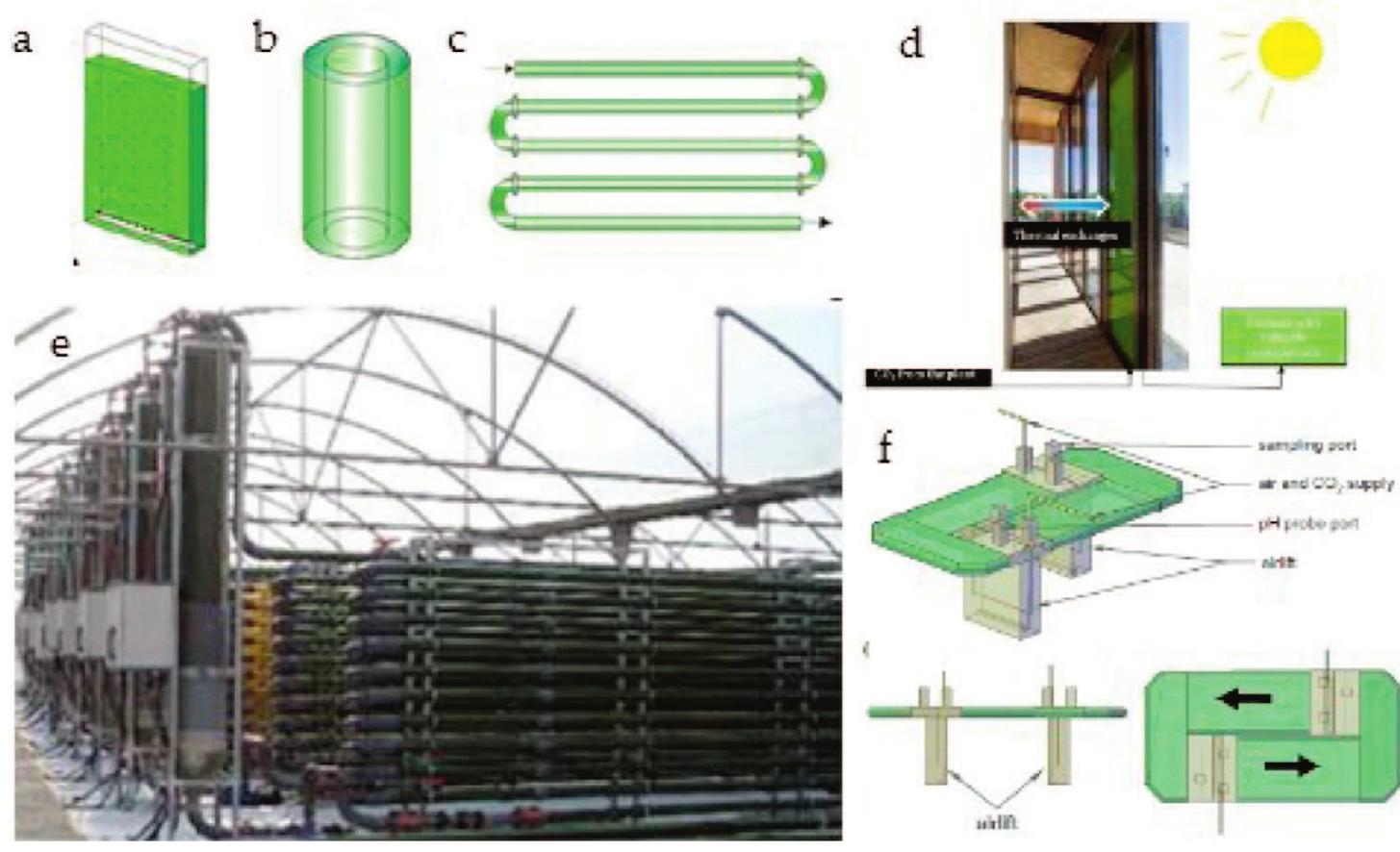 Examples of different photobioreactor designs. basic