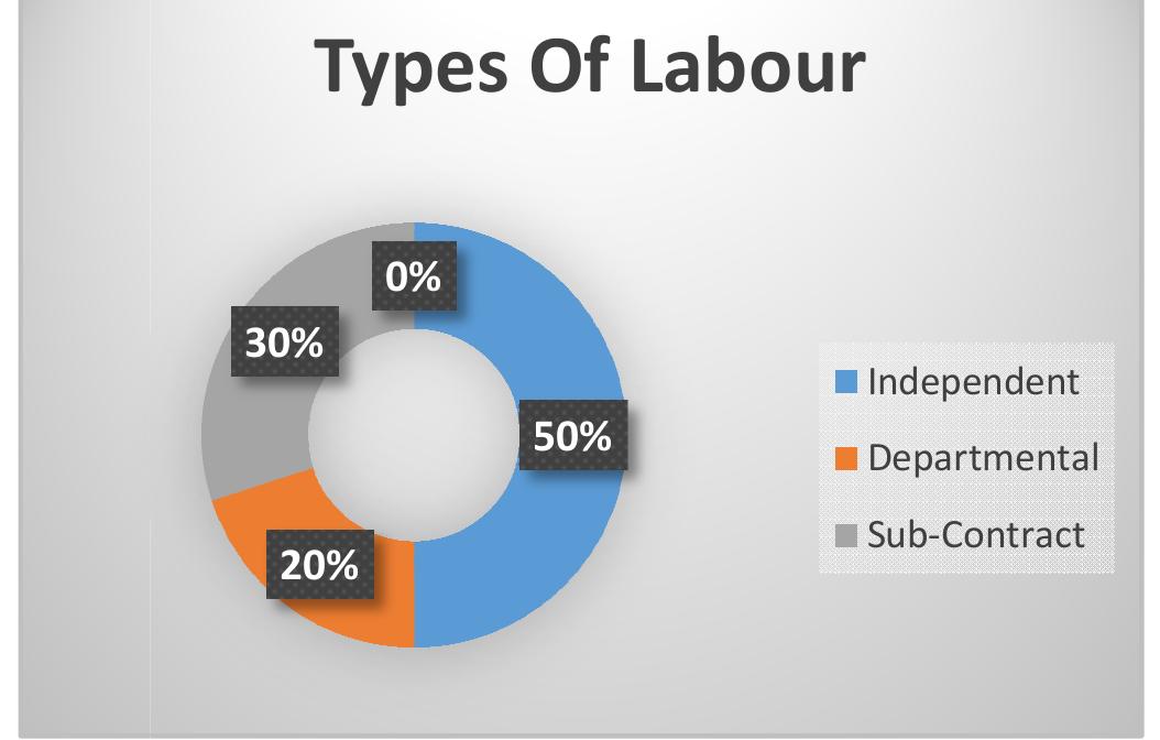 Types of labour