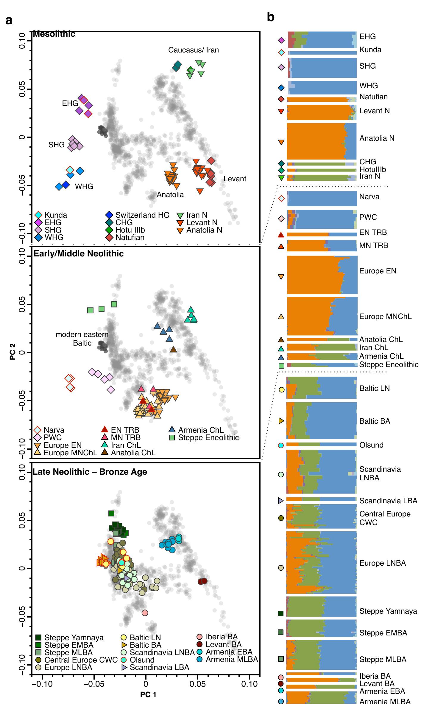 (PDF) The Genetic History of Northern Europe