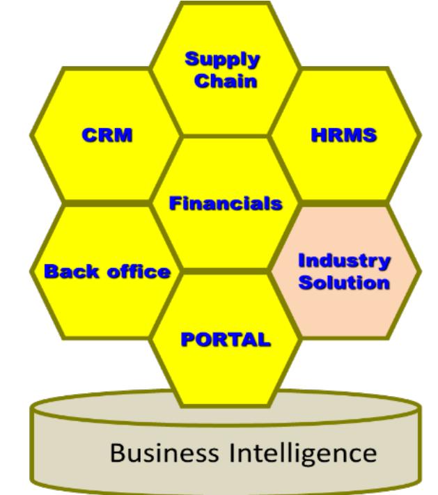 Typical commercial erp package. enterprise resource planning