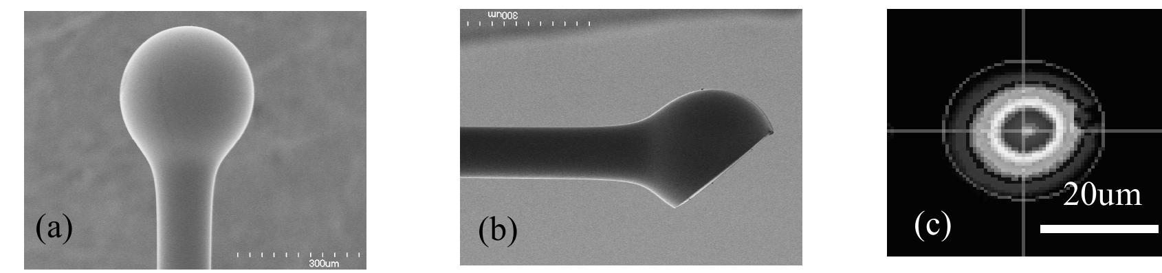 Scanning electron micrographs of fiber ball lenses used in a