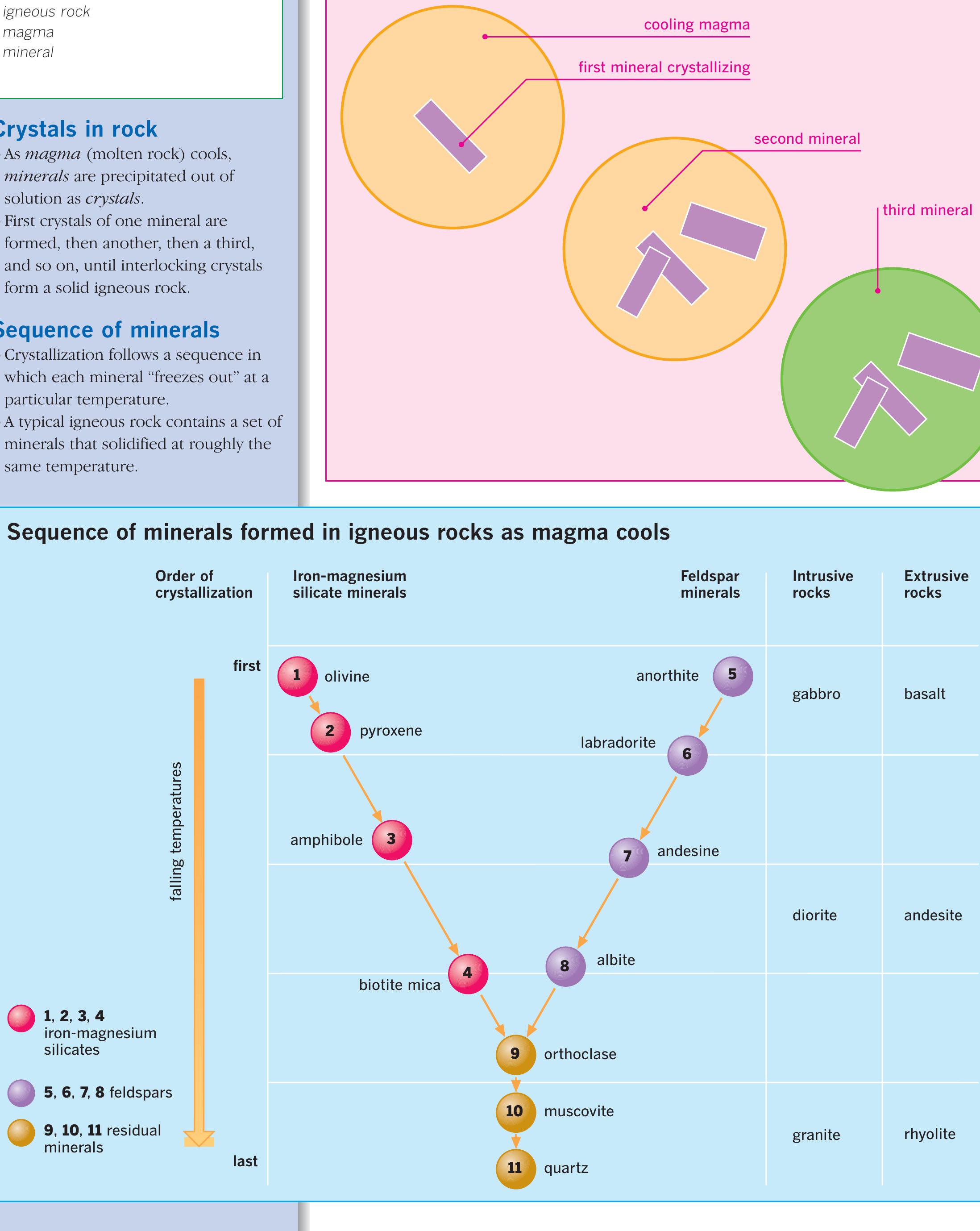 Interlocking mineral crystals forming igneous rock