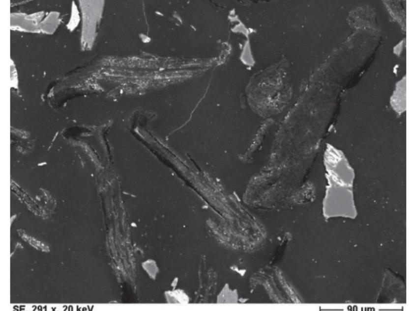 Scanning electron microscope (sem) image of graphite flakes