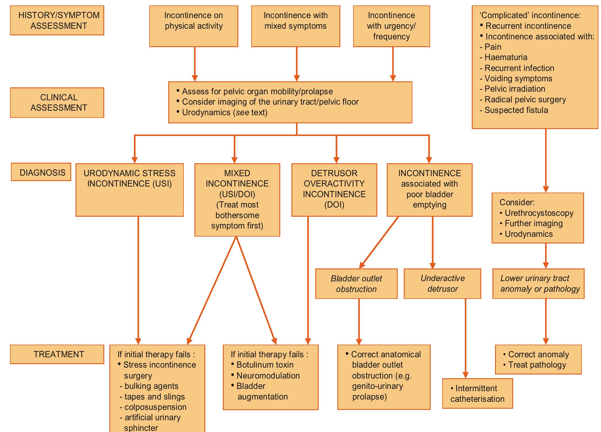 - algorithm for specialised management of urinary