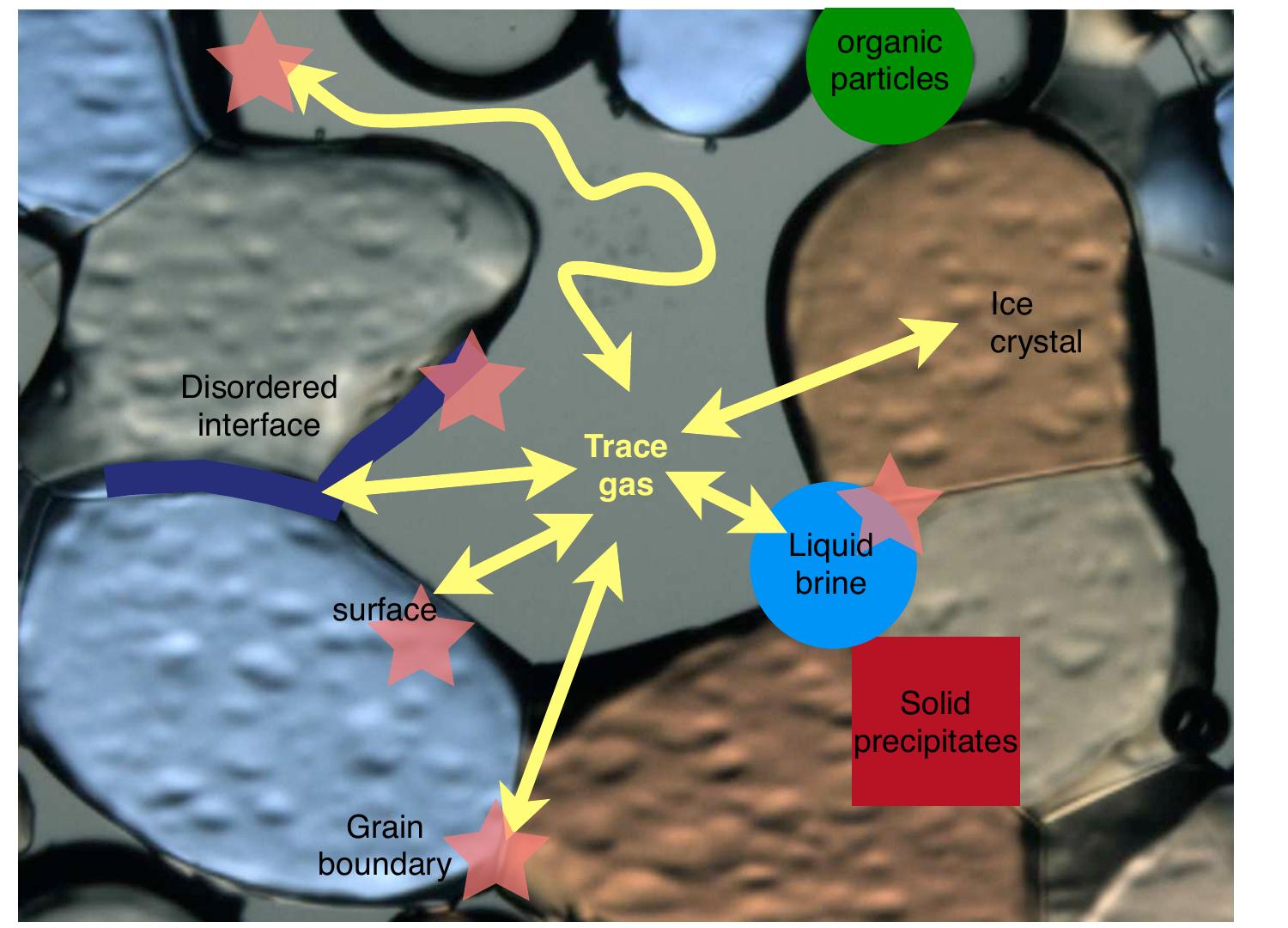 Illustration of the multi-phase structure of snow. the