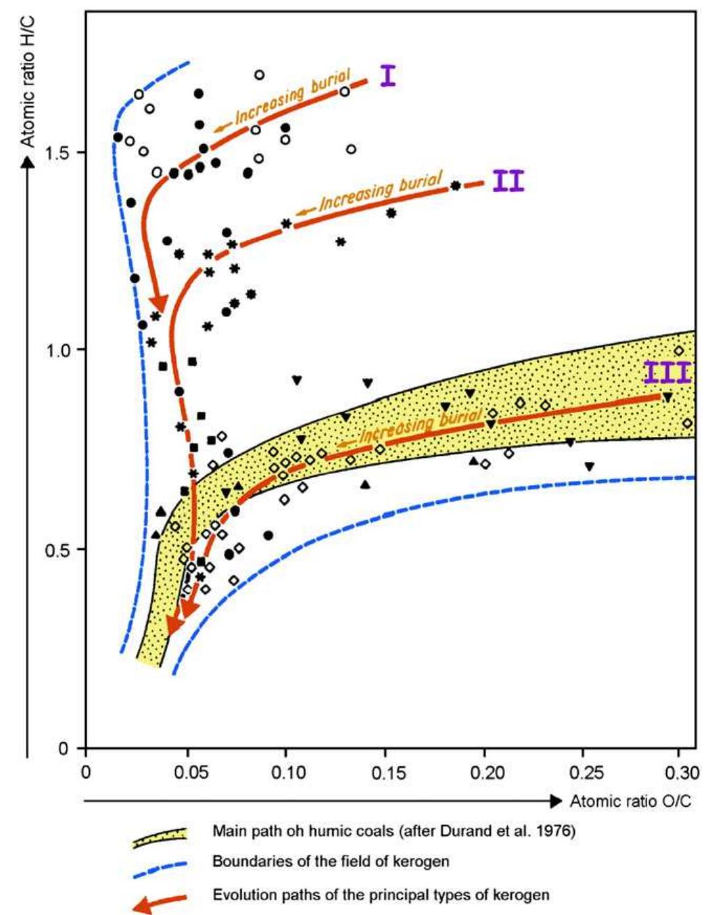 Main types and evolution paths of kerogen: types i, ii and