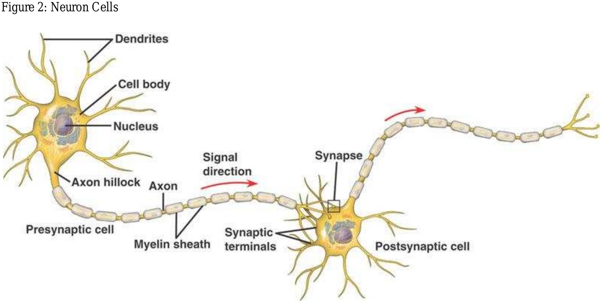 (PDF) An Introduction to Artificial Neural Networks (ANN) -Methods ...
