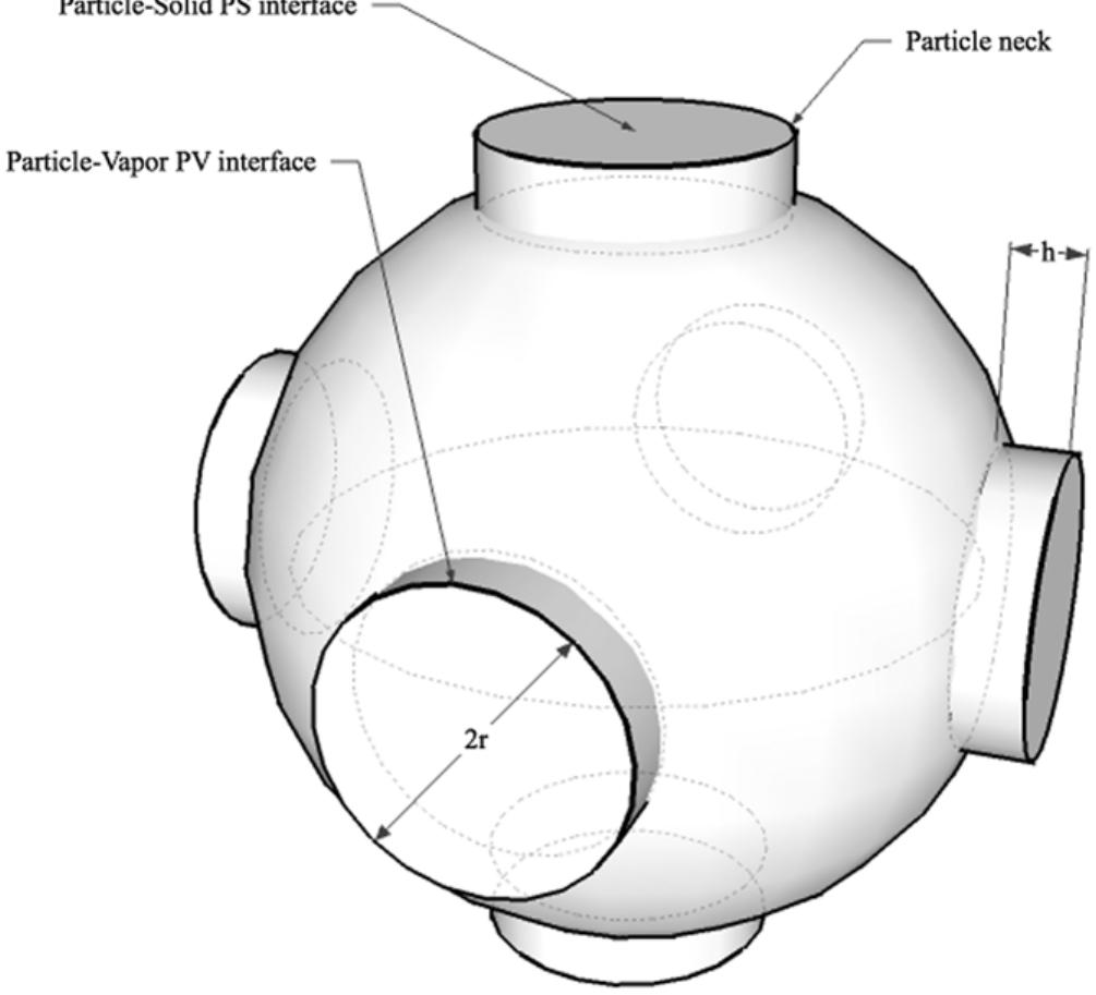 Schematic drawing of the sintering particle with 6 particle