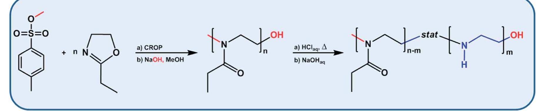 General scheme for the cationic ring-opening polymerization