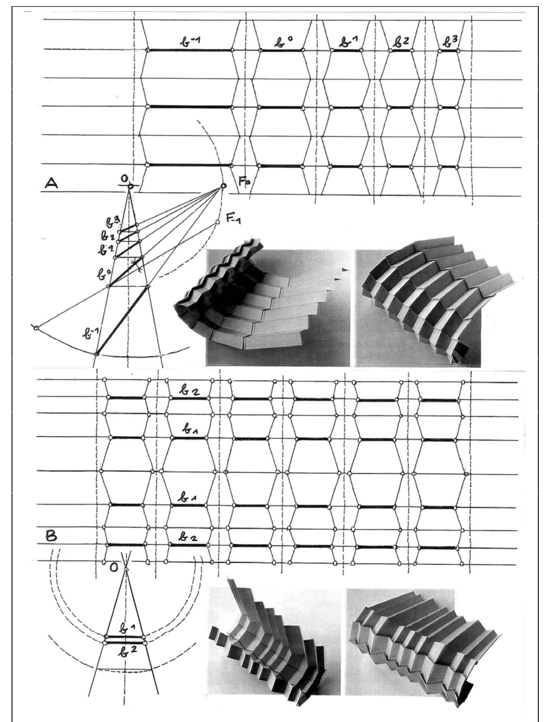 Figure 7 - THE GROWING TURBINATE SHELL – MODEL FOR A