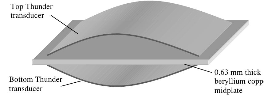 Schematic of the piezoelectric dimorph (after shenck et al