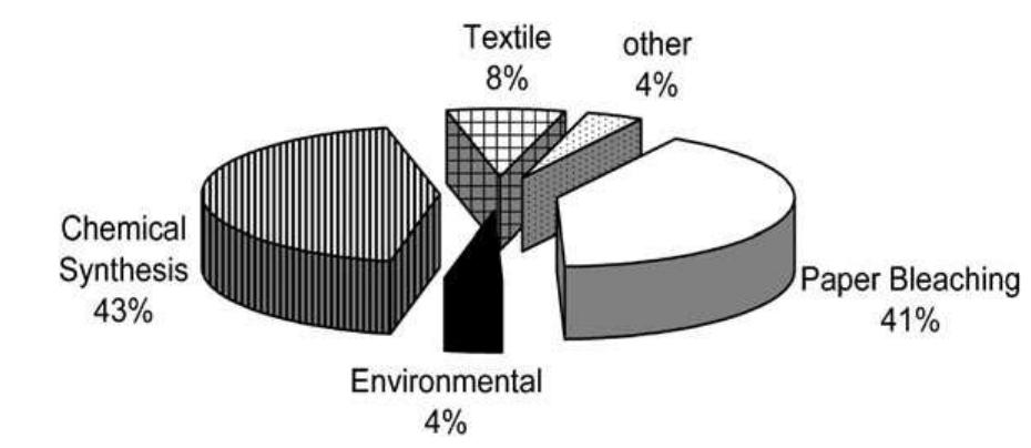 (PDF) Hydrogen Peroxide Synthesis: An Outlook Beyond the Anthraquinone ...