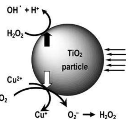 (PDF) Hydrogen Peroxide Synthesis: An Outlook Beyond the Anthraquinone ...