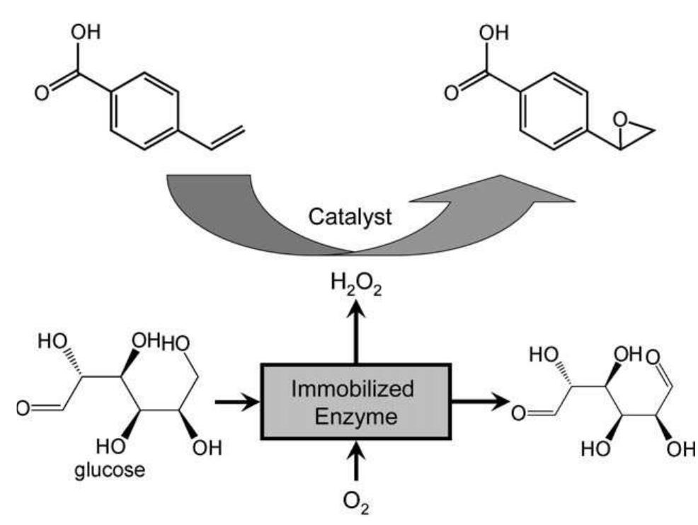 (PDF) Hydrogen Peroxide Synthesis: An Outlook Beyond the Anthraquinone ...