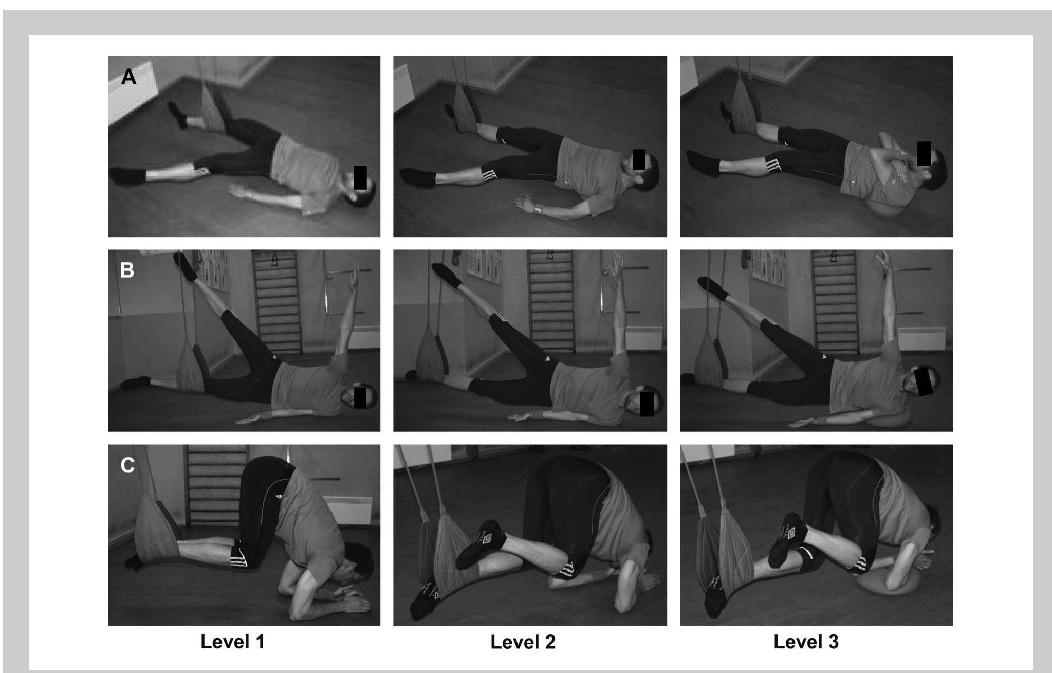 Core stability exercises with their different levels. (a)