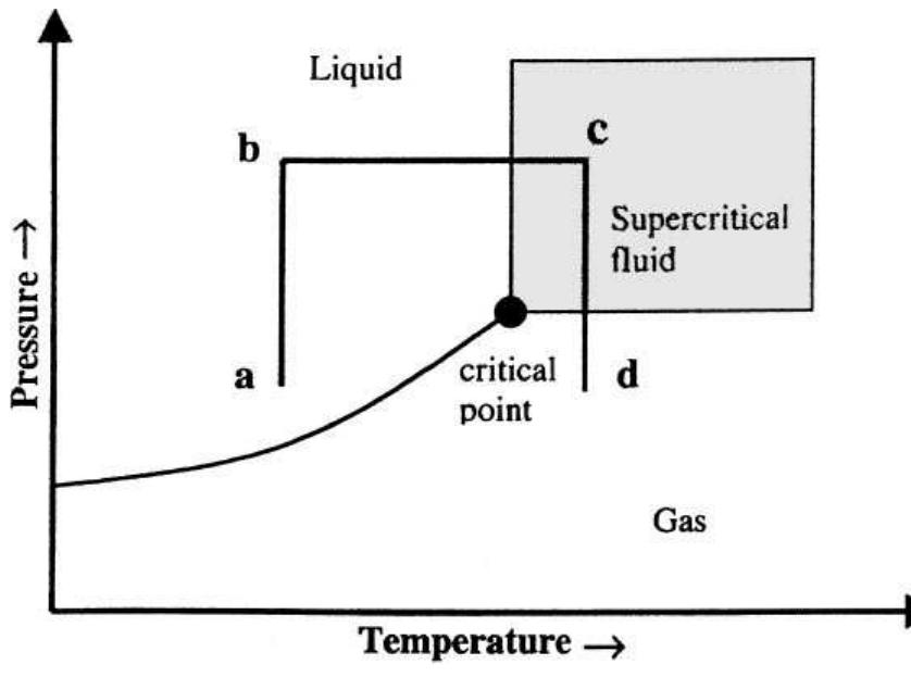 Schematic phase diagram showing pressure—-temperature paths