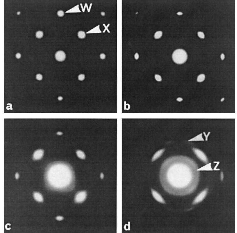Transmission electron diffraction pattern from porous (0 0