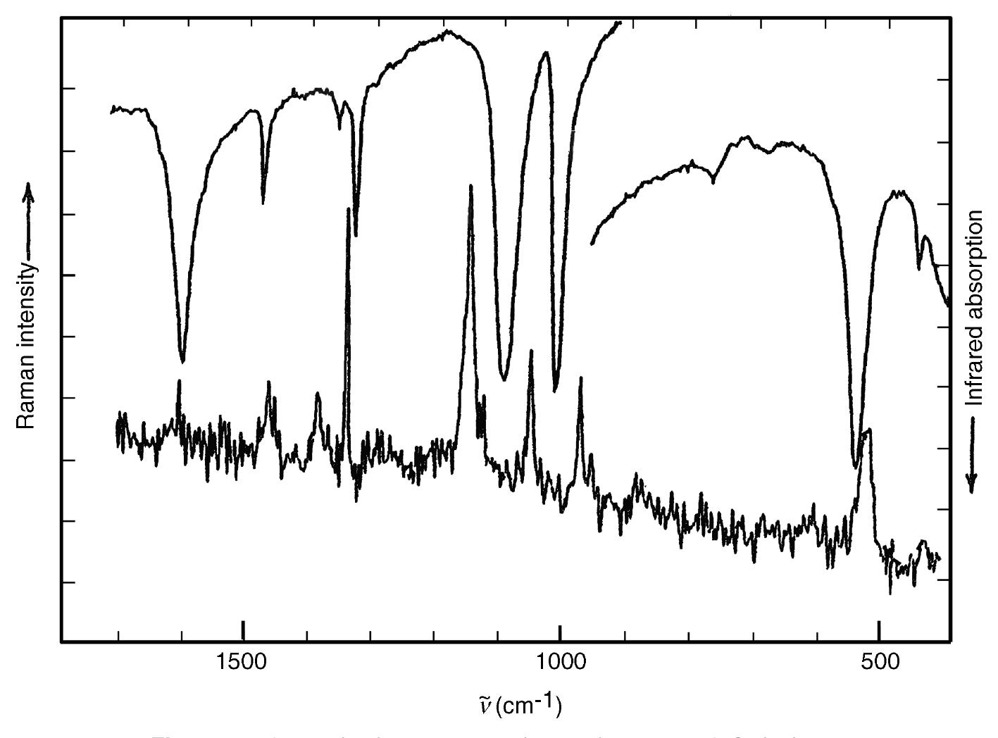 Figure 12 - Nakamoto B IR Raman Spectra of Coordination