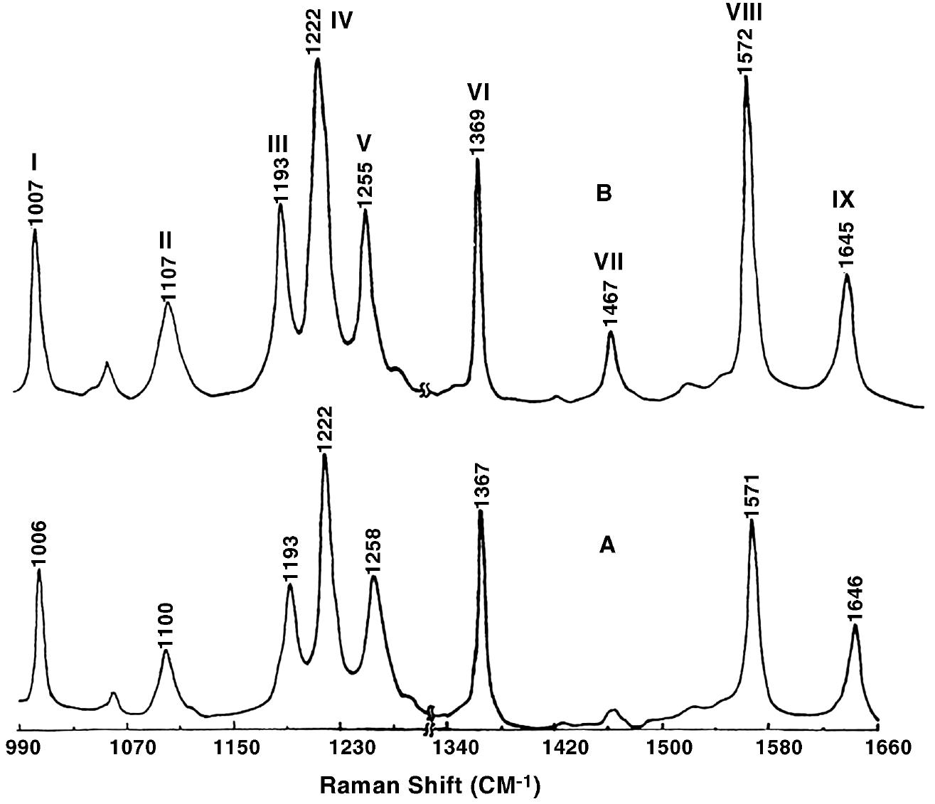 Figure 221 - Nakamoto B IR Raman Spectra of Coordination