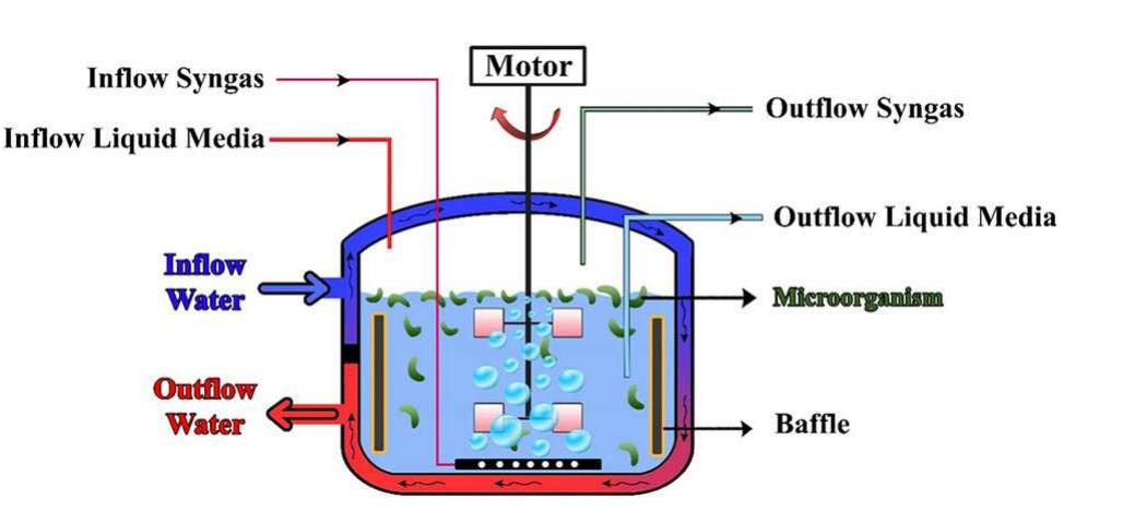 Schematic illustration of the continuous bioreactor for