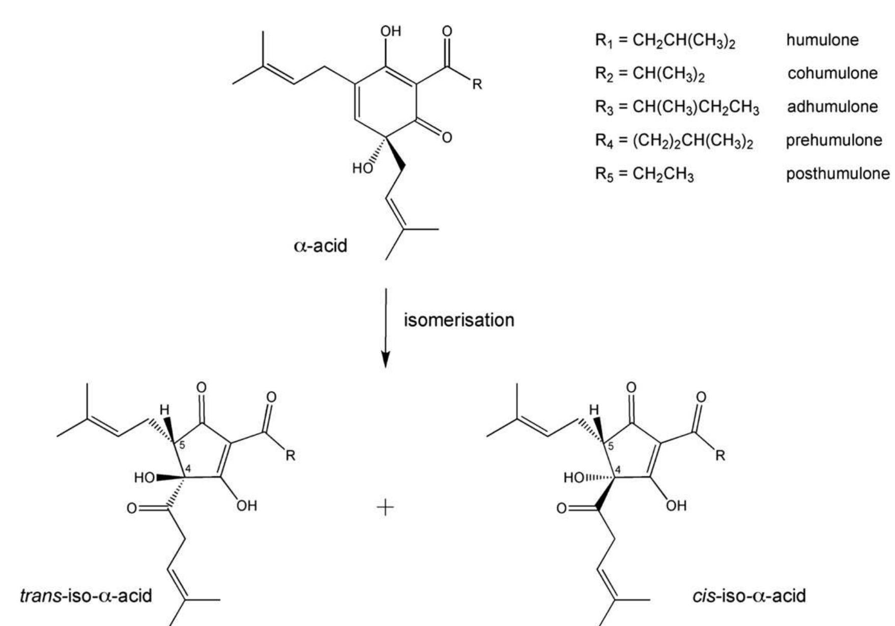 Figure 1 - from Iso-α-acids, bitterness and loss of beer